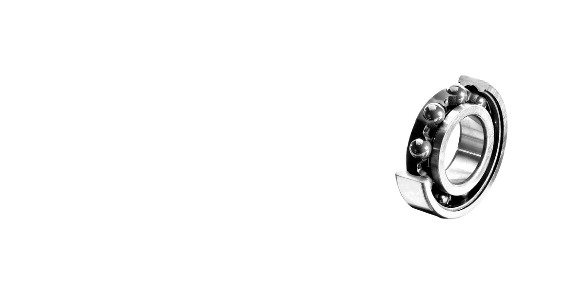Deep Groove Ball Bearings (DGBB)